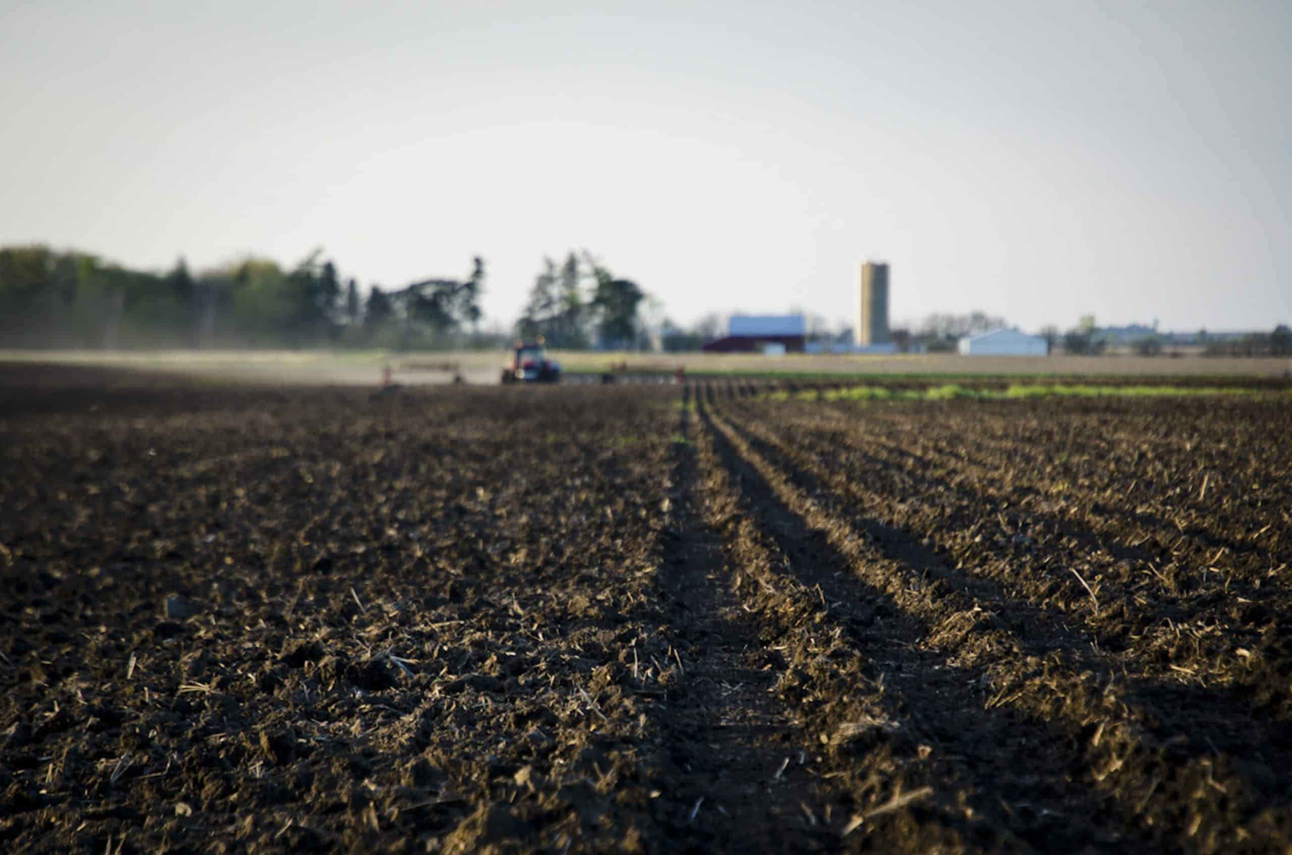 Decisions, Decisions: Growers Face Many as Planting Rolls On – Advanced ...