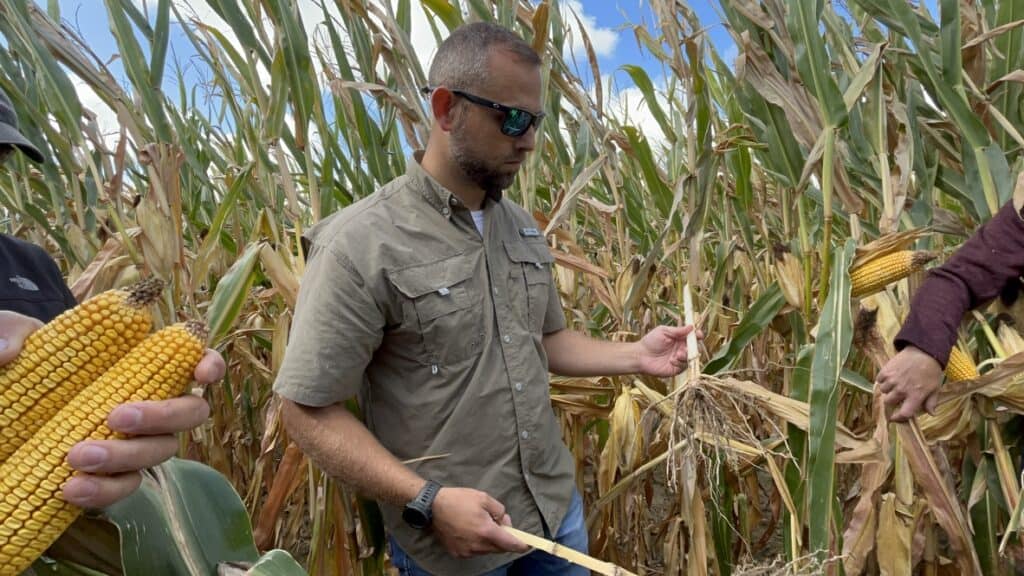 For Corn Grain Fill, It’s About Keeping Carbs – Advanced Agrilytics