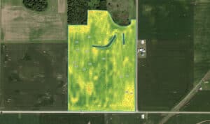 About Us – Advanced Agrilytics