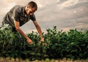 Home – Advanced Agrilytics