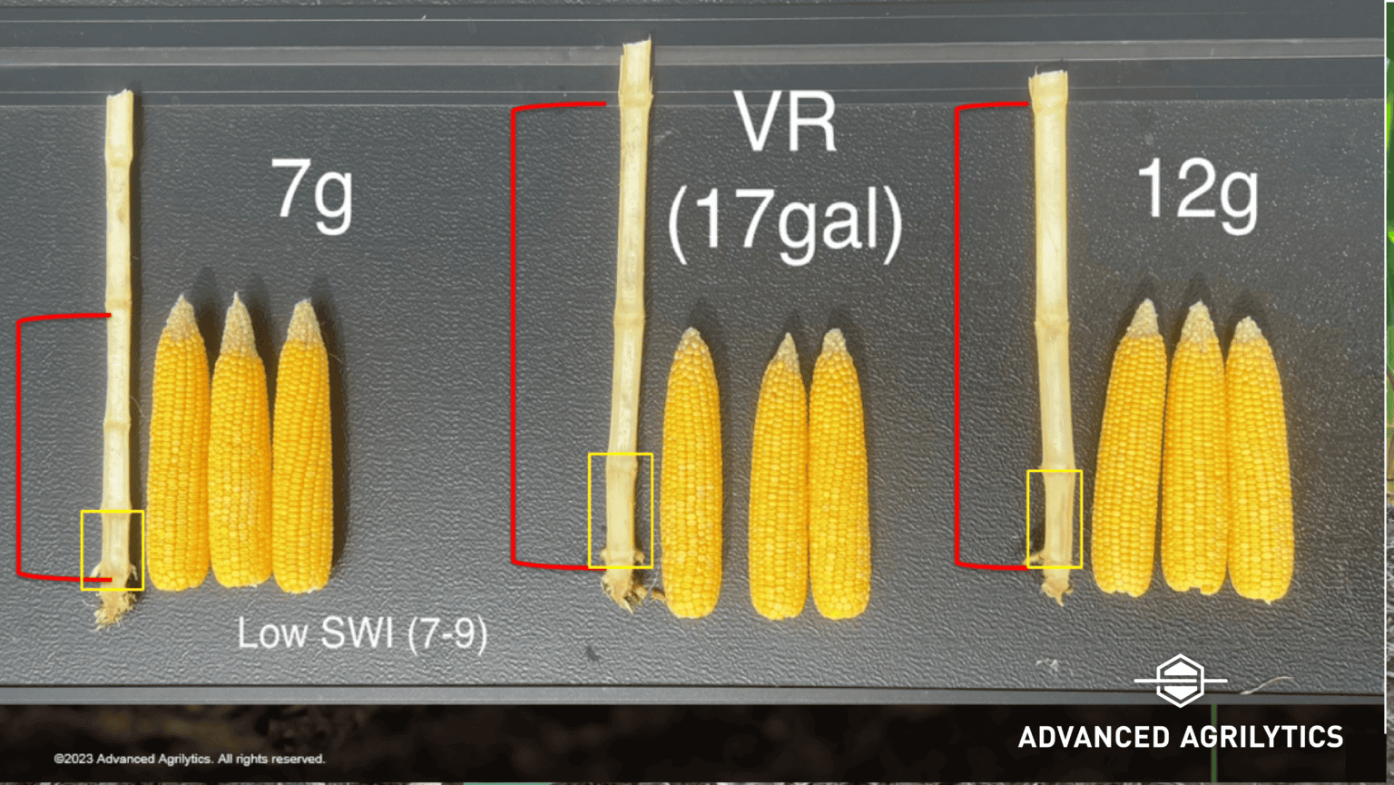 Getting the Growing Season Off to a Good Start – Advanced Agrilytics