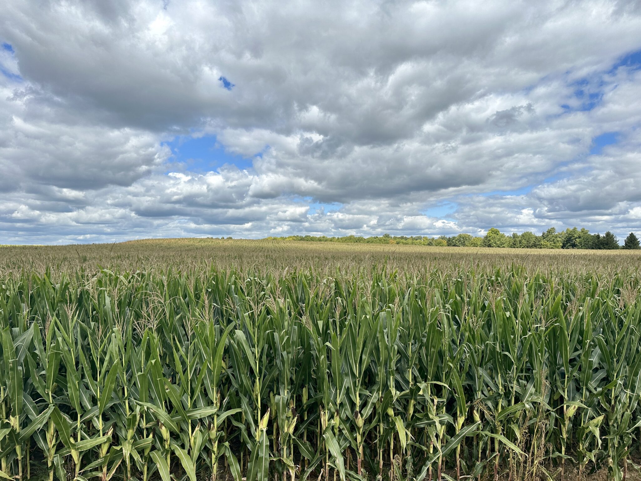 Home – Advanced Agrilytics