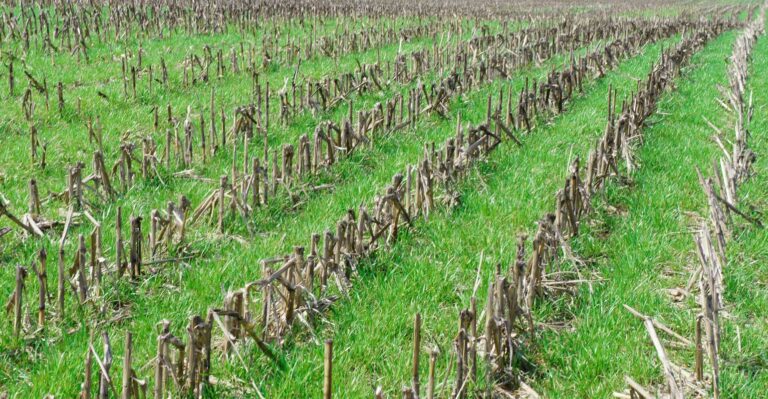 Making Conservation Pay: How Advanced Agrilytics Can Help You Get ...