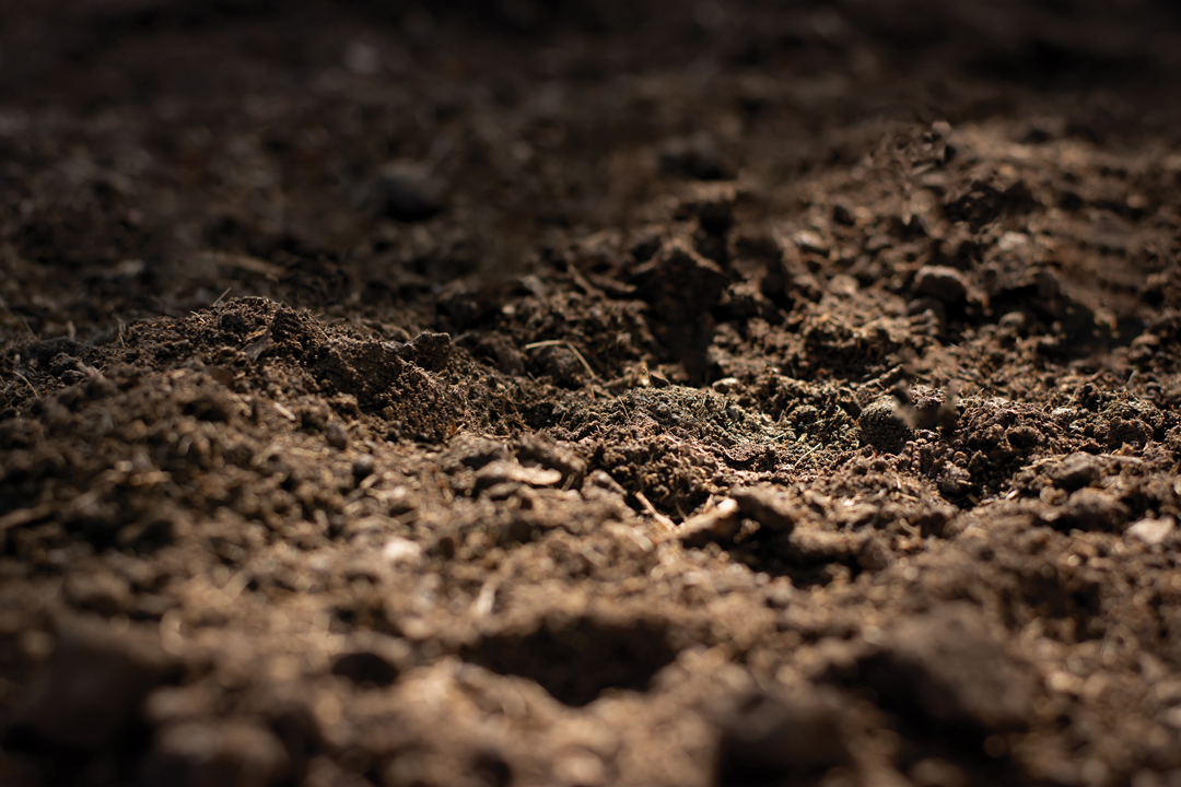 Smarter Soil Sampling: Terraframing Brings Sub-Acre Precision to ...